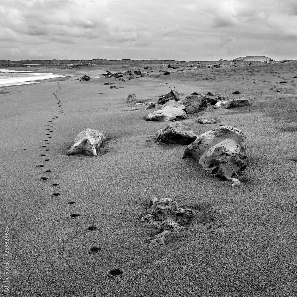 Isolated beach in black and white with traces of footsteps moving away ...