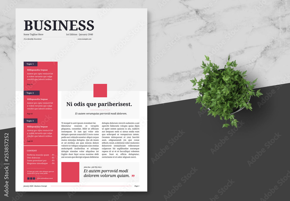 Business Newsletter with Red Accents Stock Template | Adobe Stock