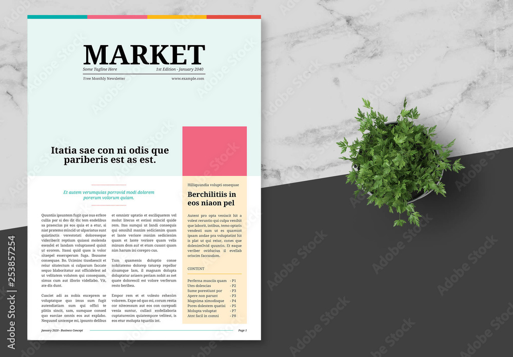 Business Newsletter with Colorful Accents Stock Template | Adobe Stock