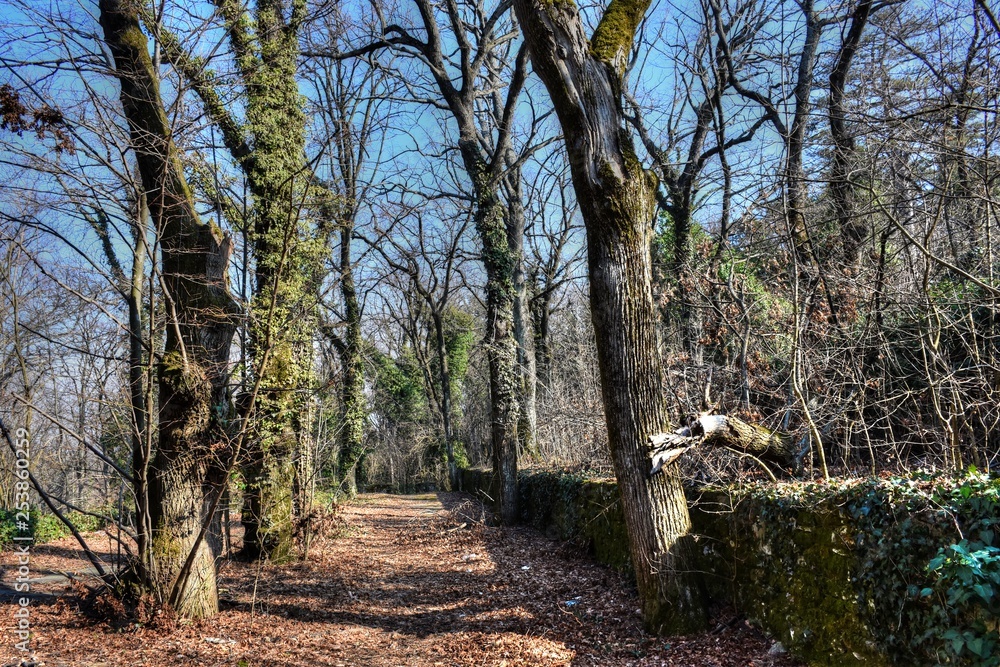 Hotel, Triest, Obelisco, Italien, geschlossen, gesperrt, verlassen ...