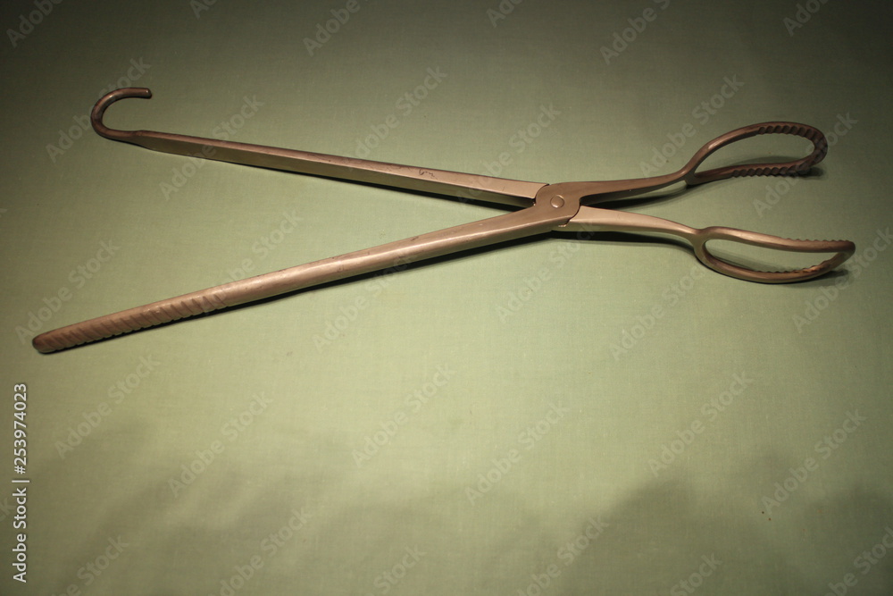 Metal birth forceps for pigs for pigs Stock Photo | Adobe Stock