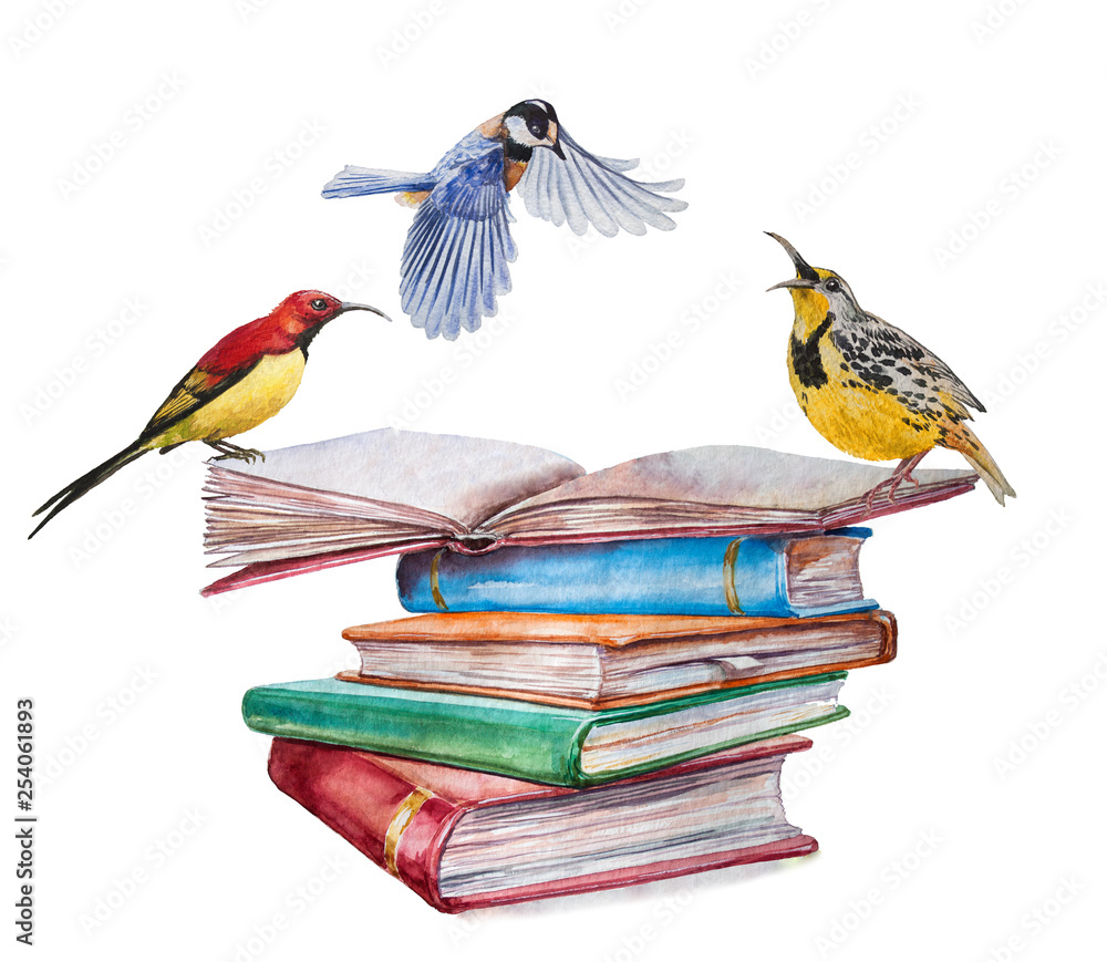 High books stack isolated on white background with three birds. Sketch ...