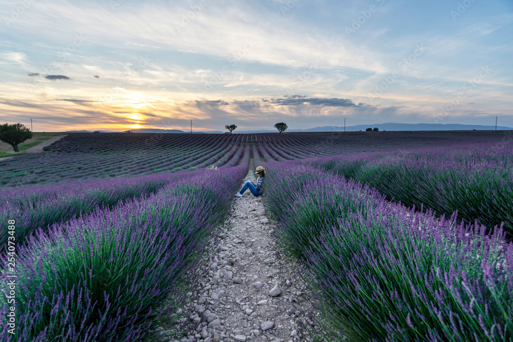 Wild Lavender Field