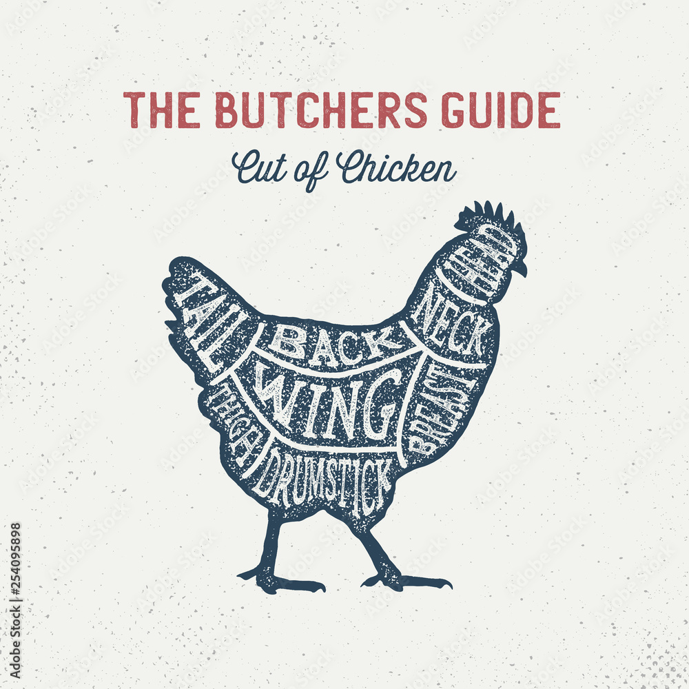 Poster chicken cutting scheme lettering neck, back, wing, breast, leg ...