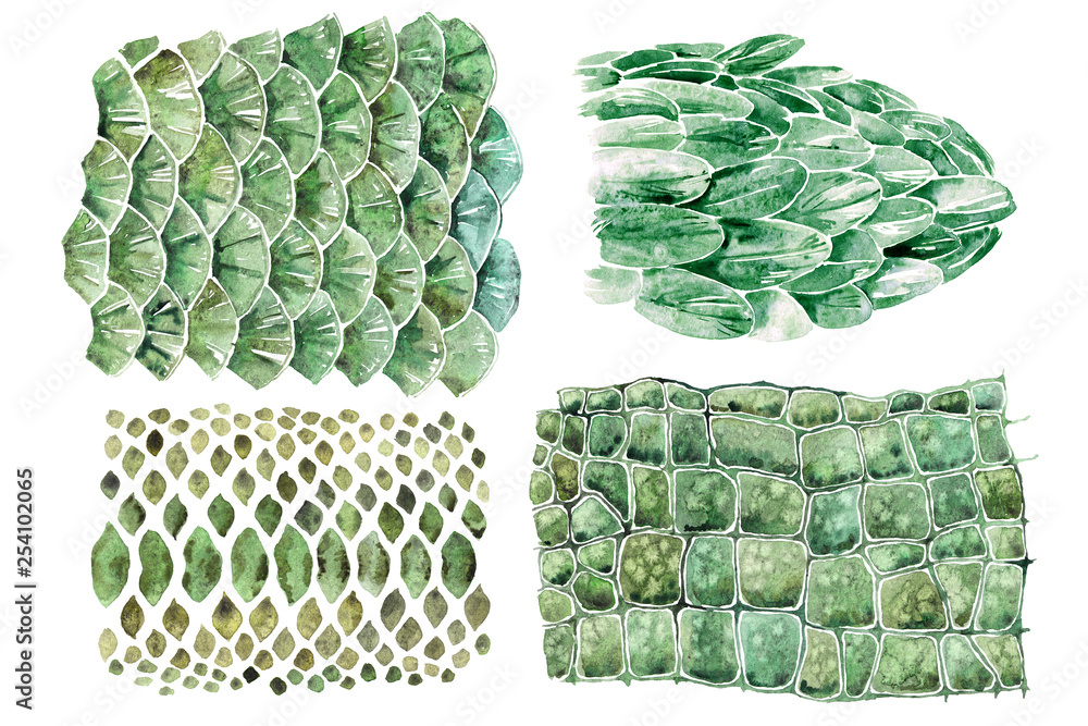 Crocodile Scale Texture