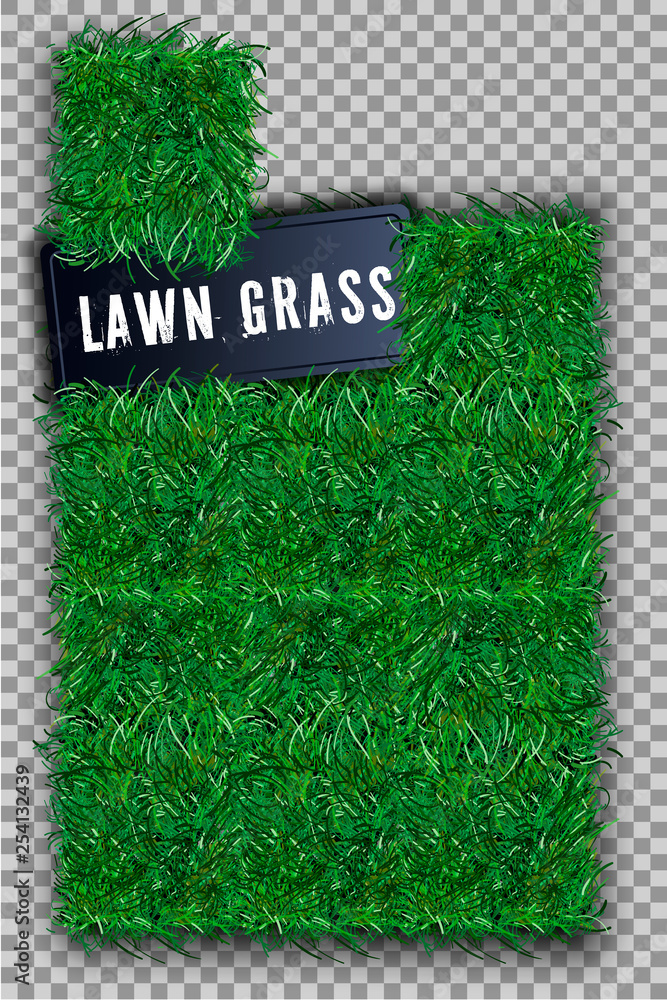 Grass square 3D. Beautiful green grassy field, isolated on white ...