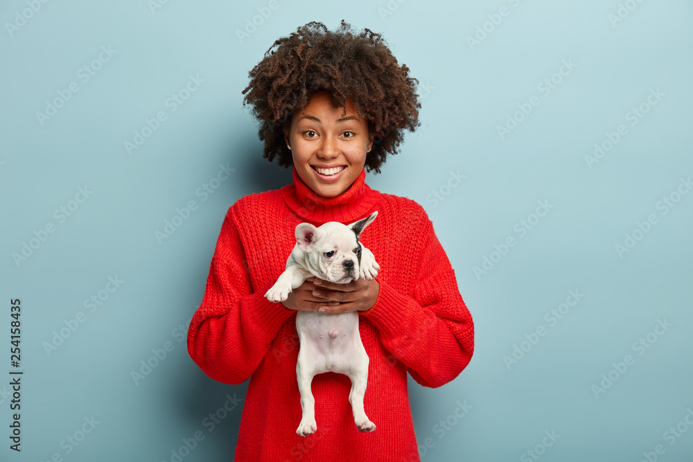 Pleased dark skinned woman in red clothes, satisfied to get puppy on ...