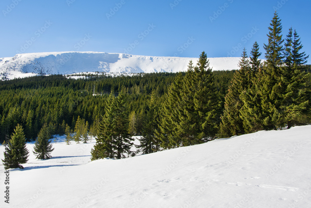 Piękny górski krajobraz, Sudety zimą Stock Photo | Adobe Stock