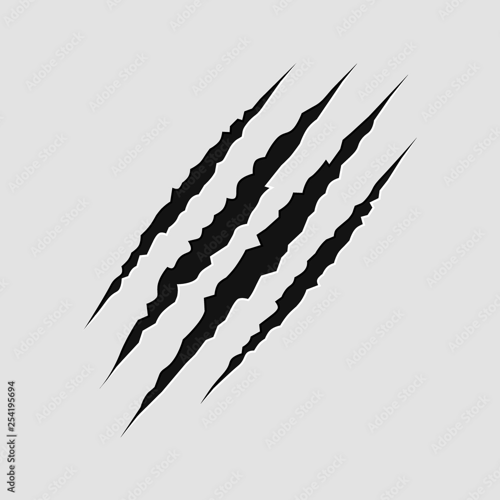 Realistic scratch claws of animal. Hole in sheet of paper with torn ...