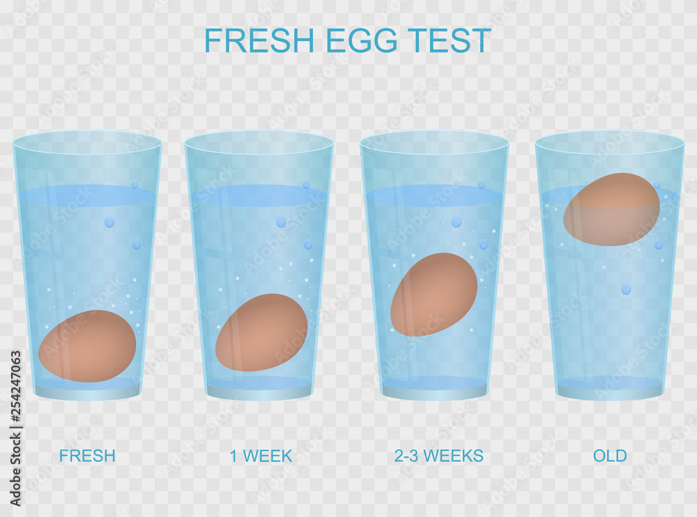 Realistic 3d Detailed Fresh Egg Test Concept Card Poster. Vector Stock ...