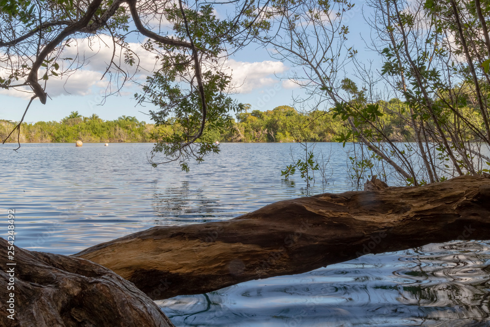 cenote blue bacalar (lagoon of the seven colors) Quintana Roo Mexico ...