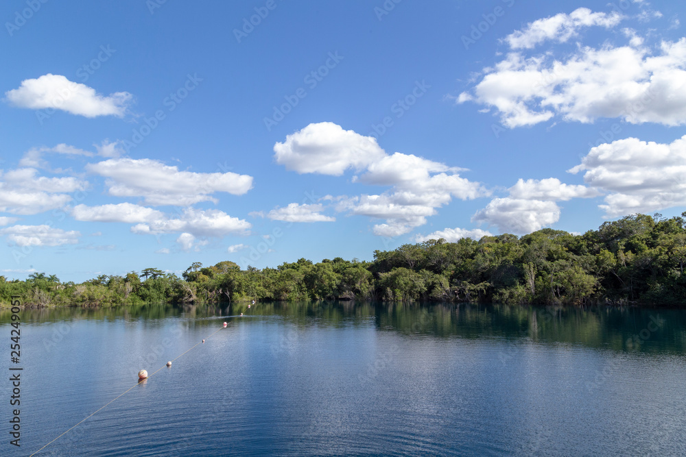 cenote blue bacalar (lagoon of the seven colors) Quintana Roo Mexico ...
