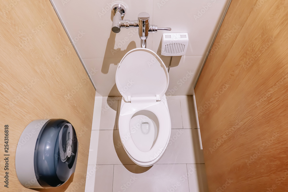The Public Toilet Flush