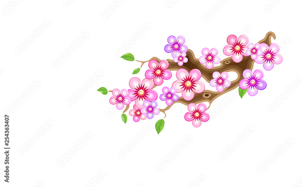 Attribute of hanami, branch sakura, vector illustration. Cherry blossom ...