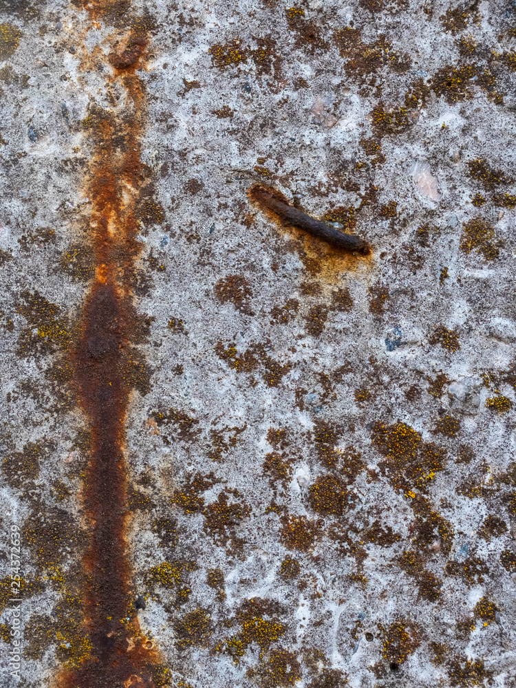 Texture of old reinforced concrete surface with rust and moss. Armored ...