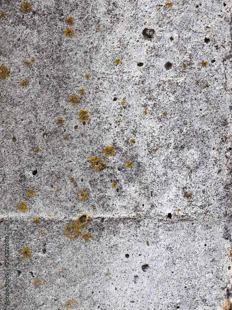 Texture of old reinforced concrete surface with rust and moss. Armored ...
