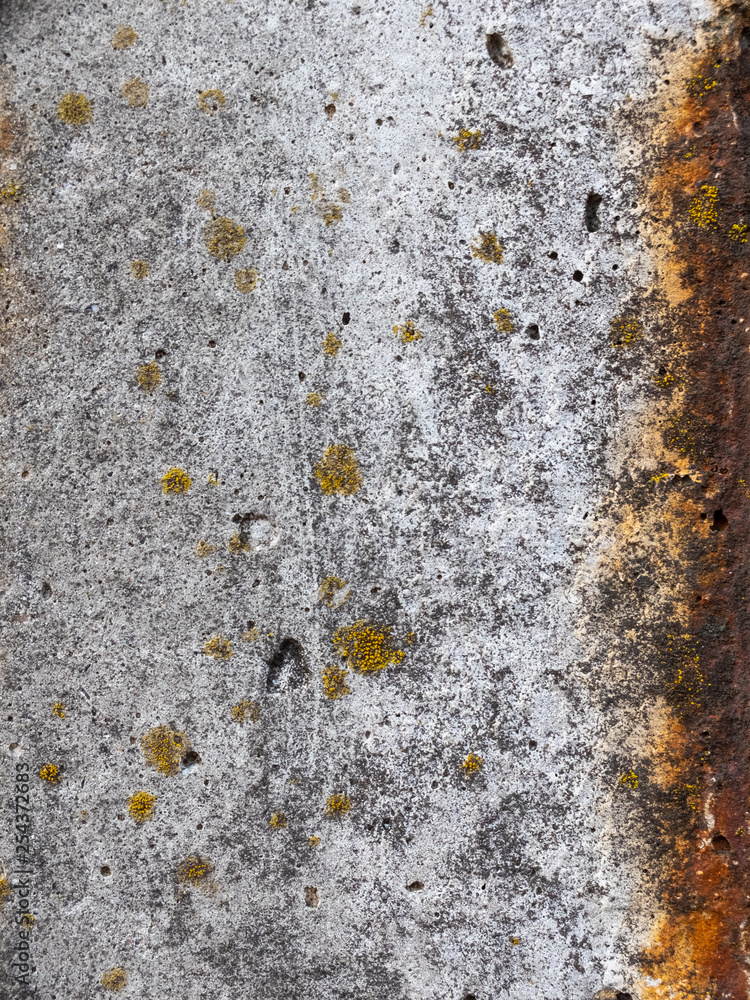 Texture of old reinforced concrete surface with rust and moss. Armored ...