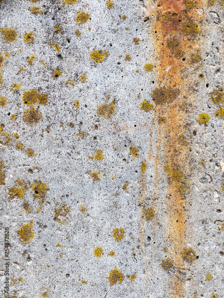 Texture of old reinforced concrete surface with rust and moss. Armored ...