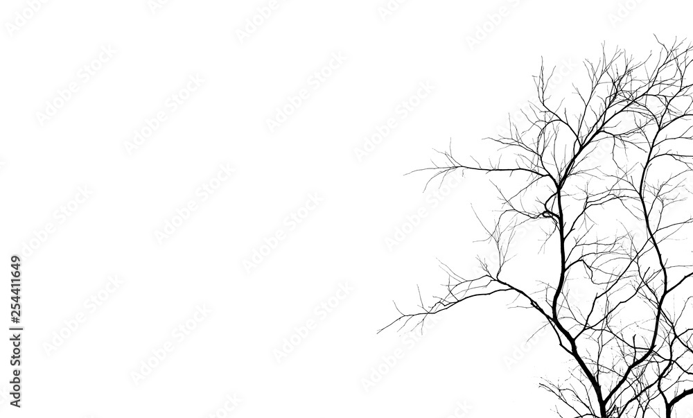 Dead Tree Branch Clip Art