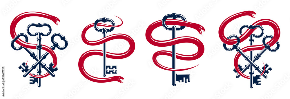 Snake wraps around vintage key, protected secret concept, turnkey and ...