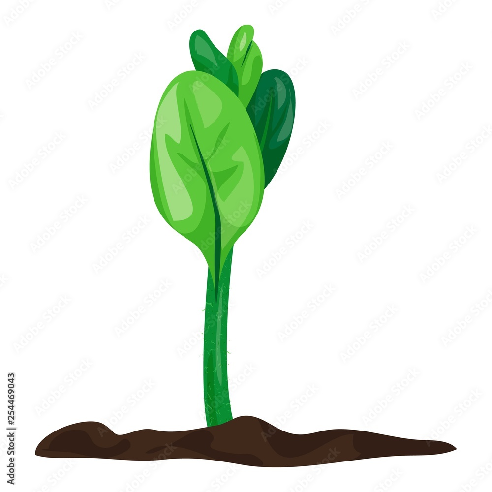 Grow soybean plant icon. Cartoon of grow soybean plant vector icon for ...
