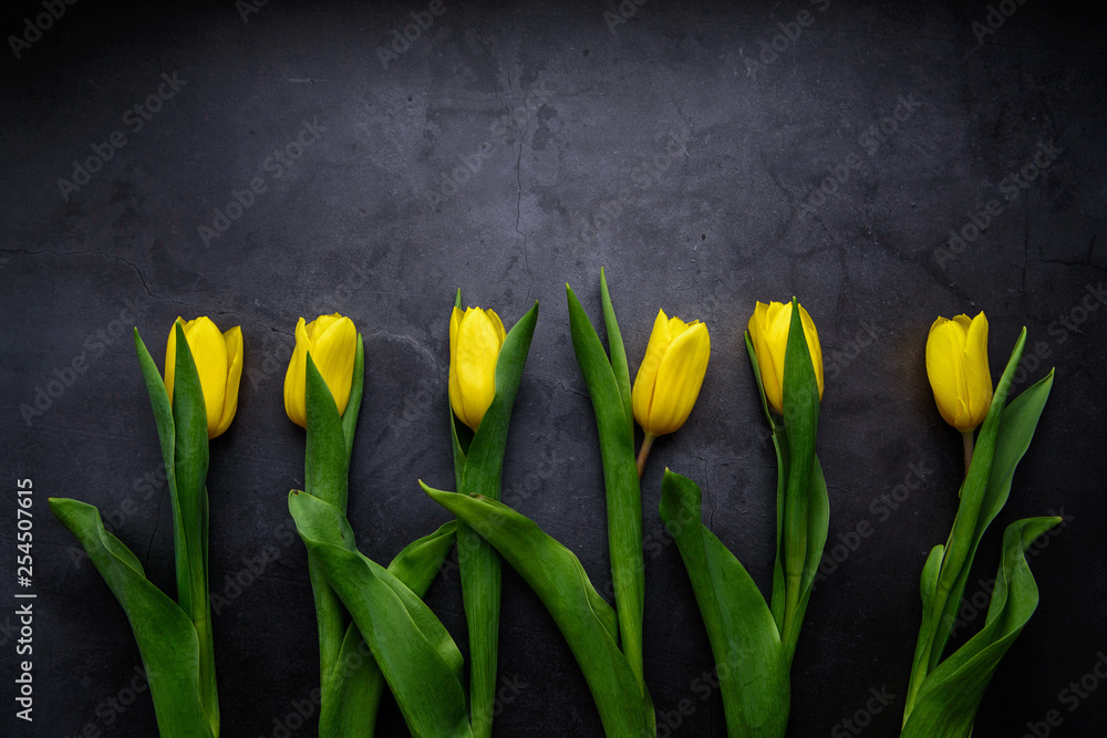 Dark Background Happy Spring