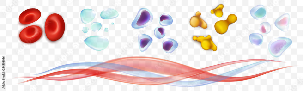 Set blood cells. Erythrocytes, leukocytes, platelets, plasma. Vector ...