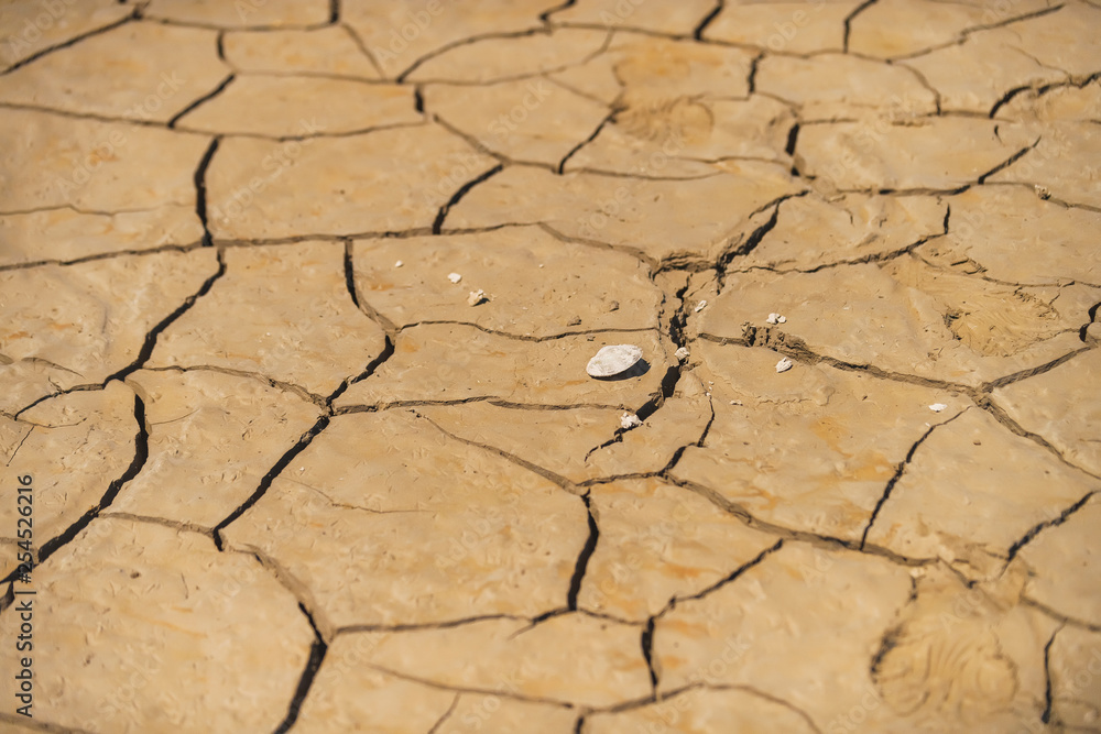 Dry cracked clay. Clay of the desert. The texture of cracked earth. Dry ...