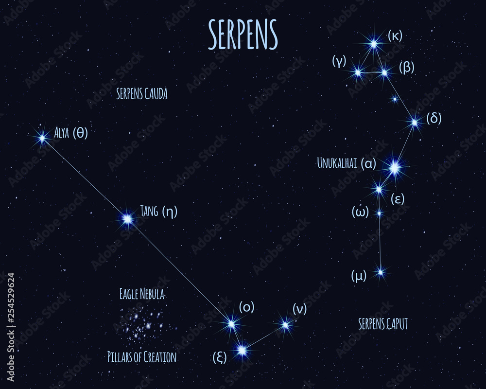 Serpens (The Snake) constellation, vector illustration with the names of basic stars against the ...