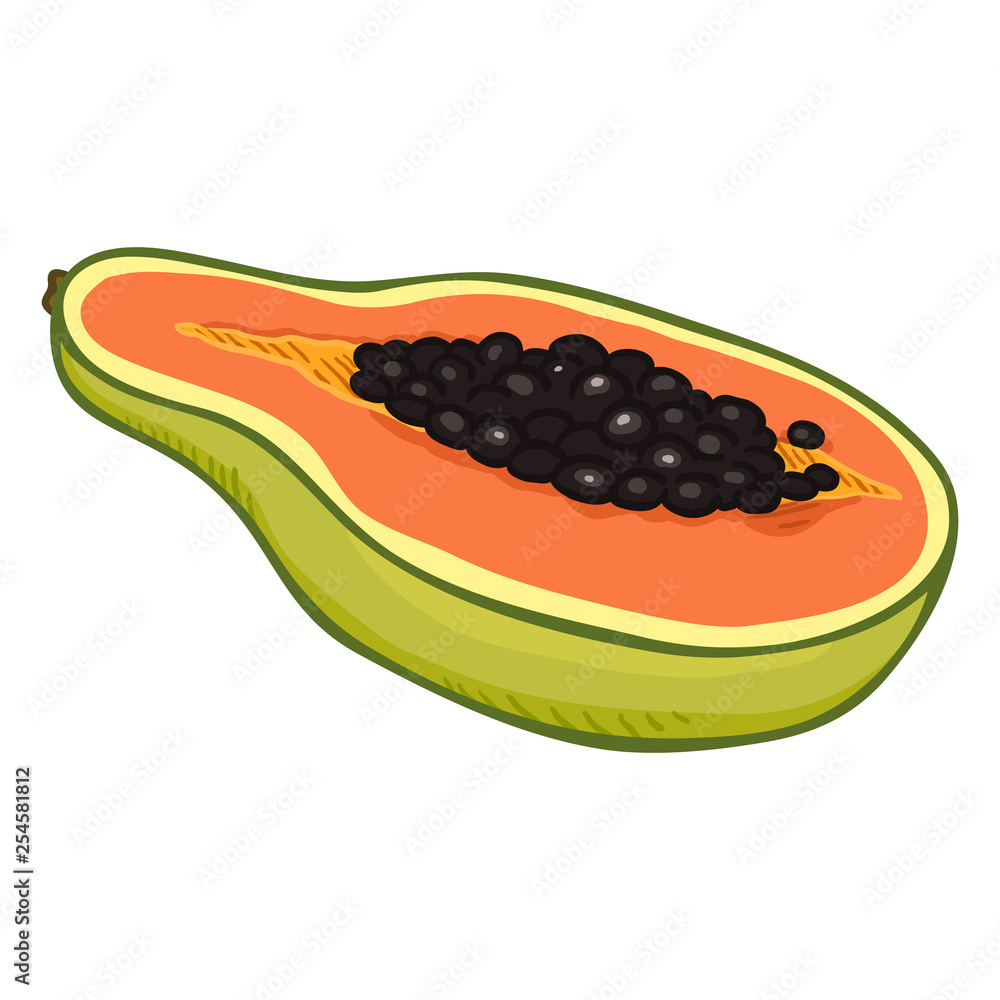 Vector Cartoon Papaya Fruit Stock Vector | Adobe Stock