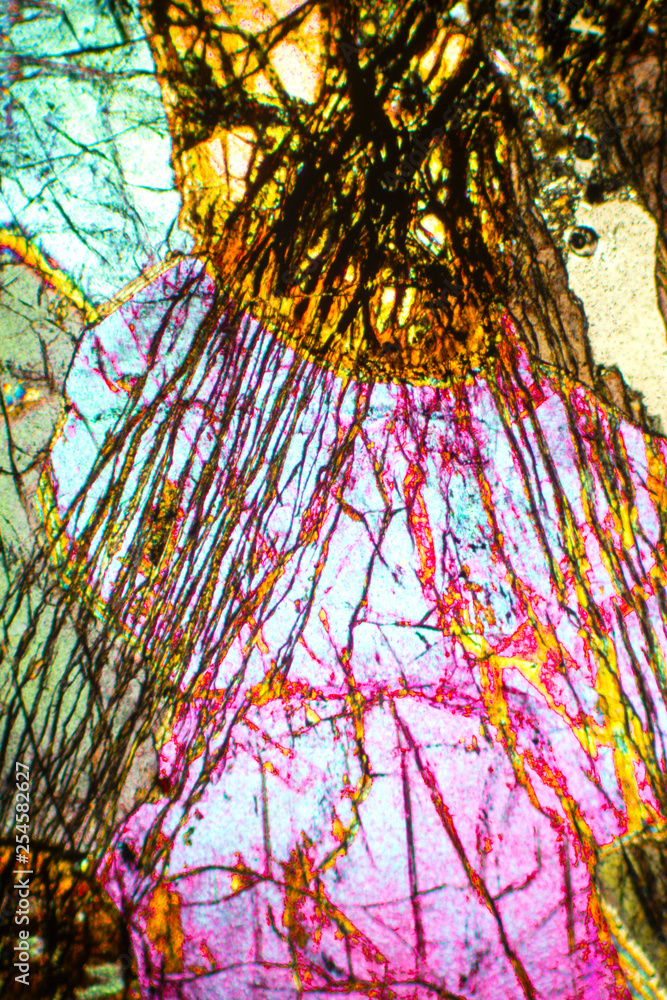 Abstract micrograph of olivine pyroxenite viewed with a polarizing ...