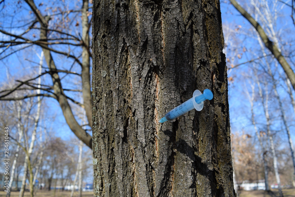 Medical syringe sticking out of a tree in nature. Stock Photo | Adobe Stock