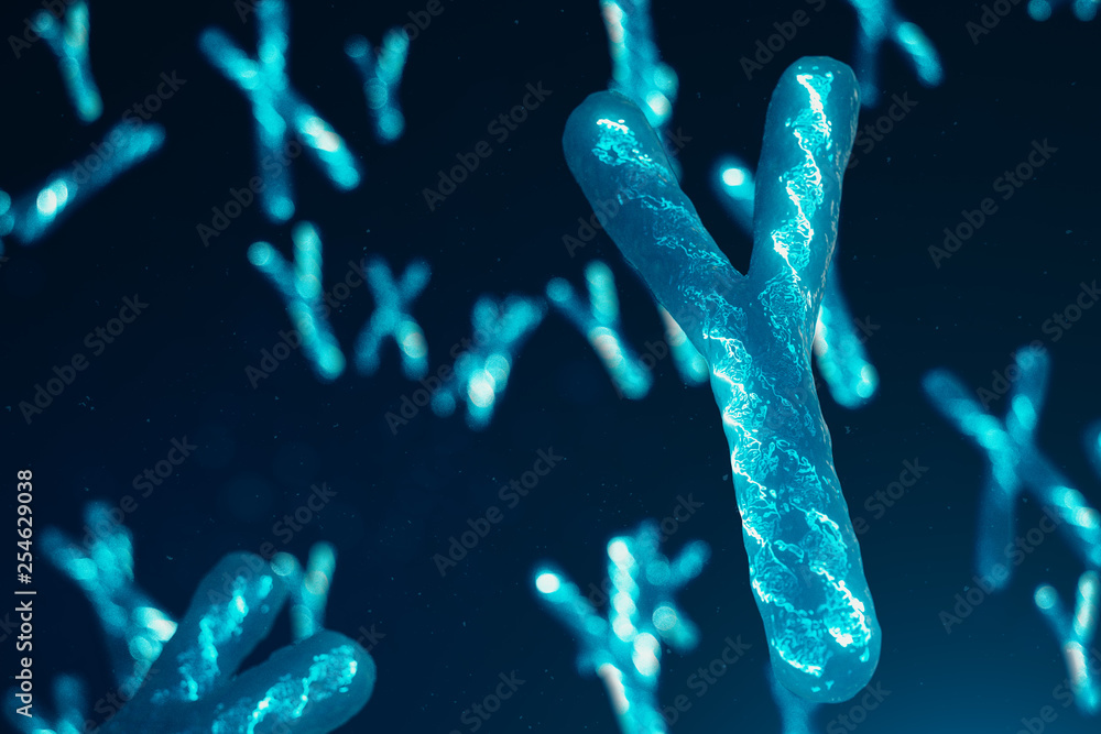 Y-Chromosomes with DNA carrying the genetic code. Genetics concept ...
