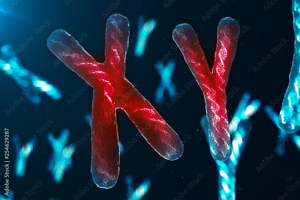 Infection of XY-Chromosomes DNA, virus or infection penetrates the body ...