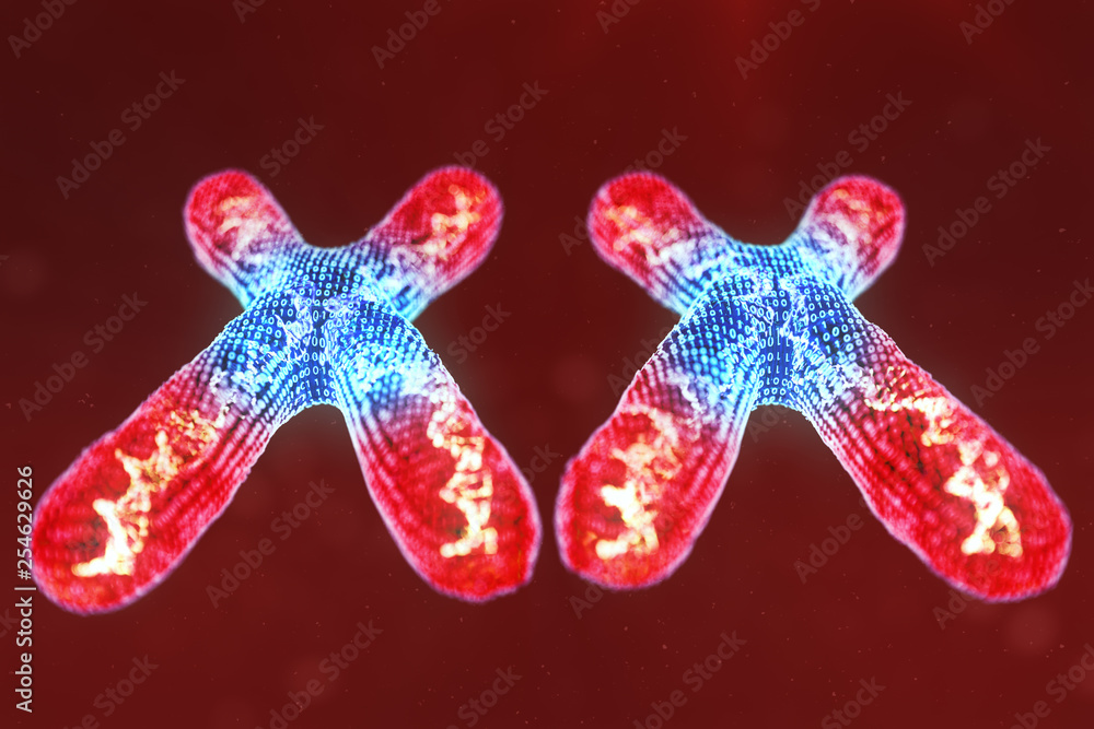 Infection of XX-Chromosomes DNA, virus or infection penetrates the body ...