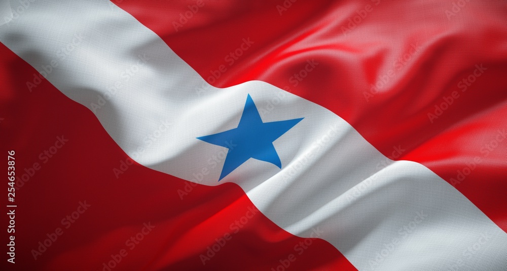 Foto de Bandeira oficial do Pará. do Stock | Adobe Stock
