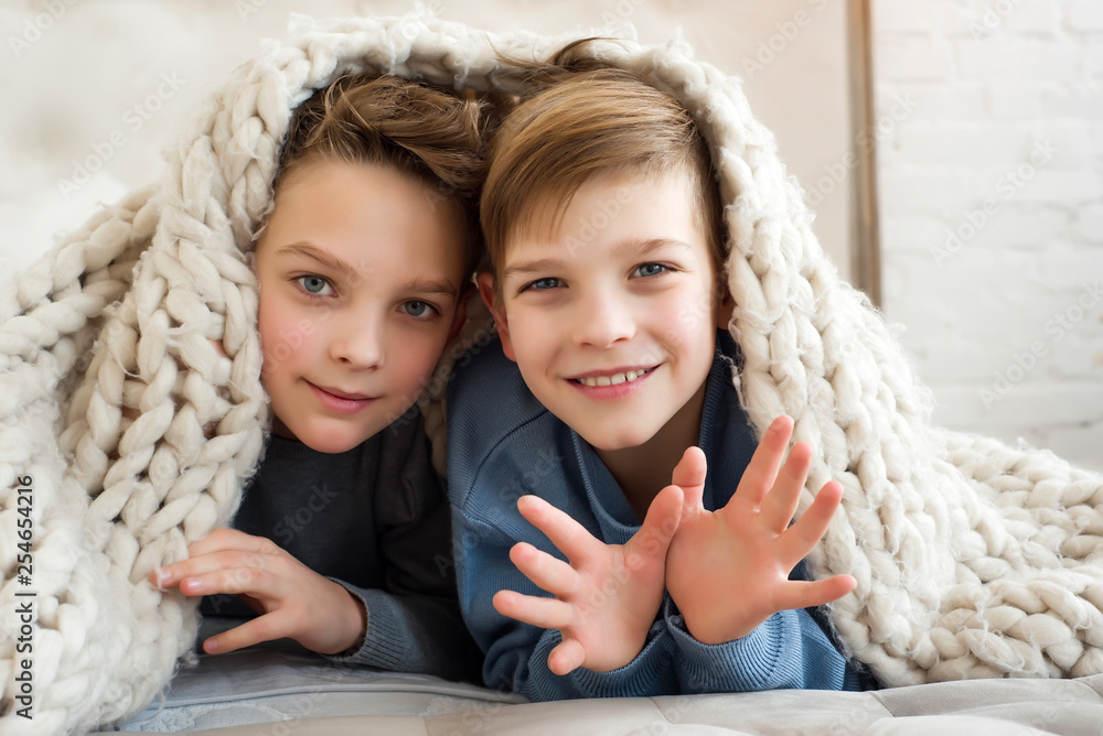 Two cute brothers playing together at home, smiling and looking into ...