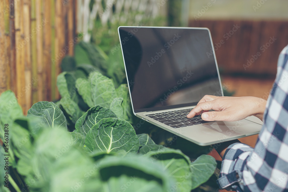 Inspection of vegetable garden quality by farmers using modern ...