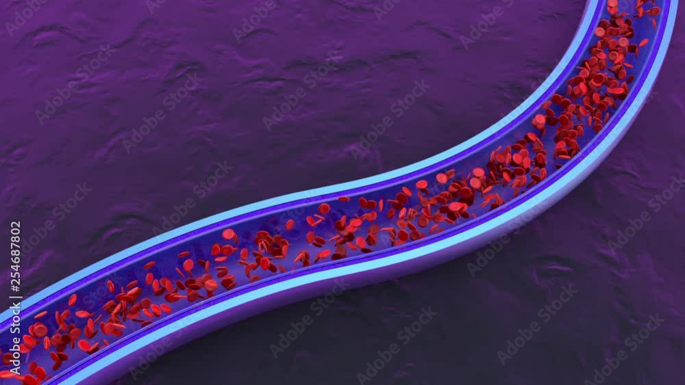 3D rendered Animation of Erythrocytes aka Hemoglobin Blood cells ...