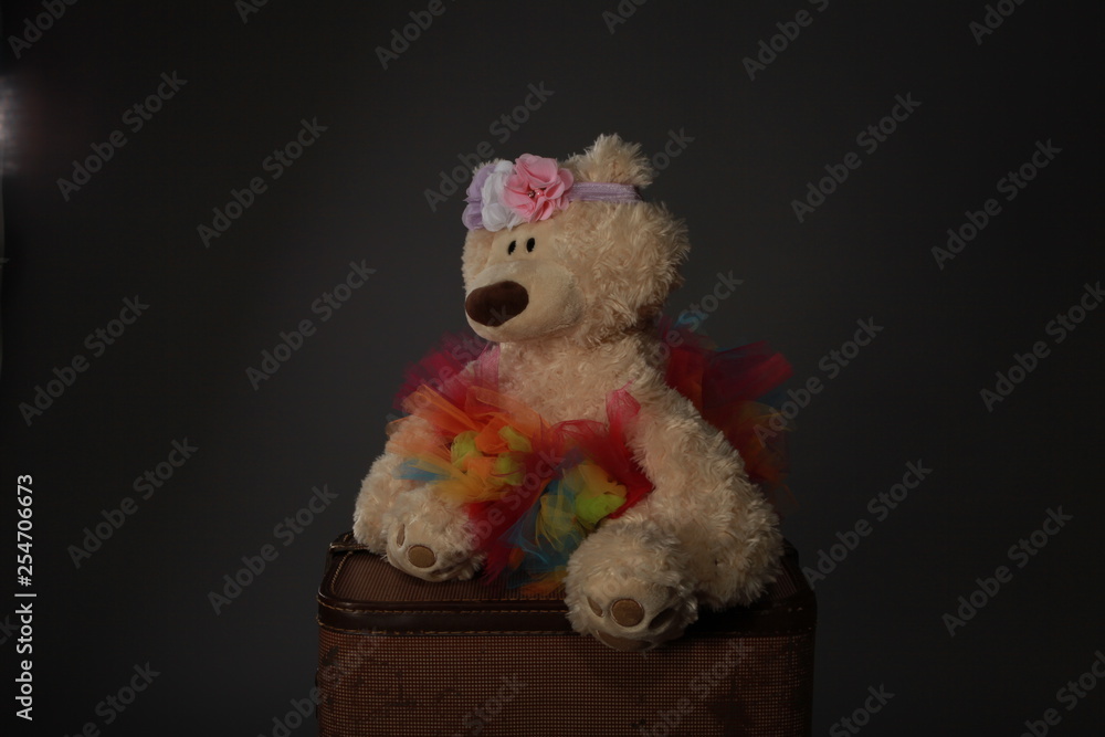 teddy bear in tutu, photography studio set Stock Photo | Adobe Stock