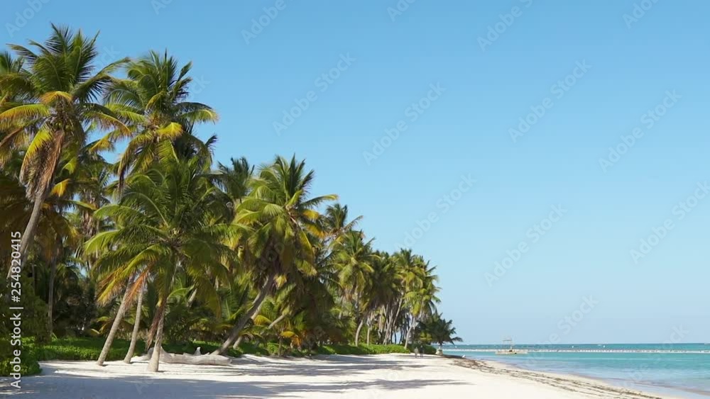 Panorama isolated palms beach Thailand without people. Wild beach ...