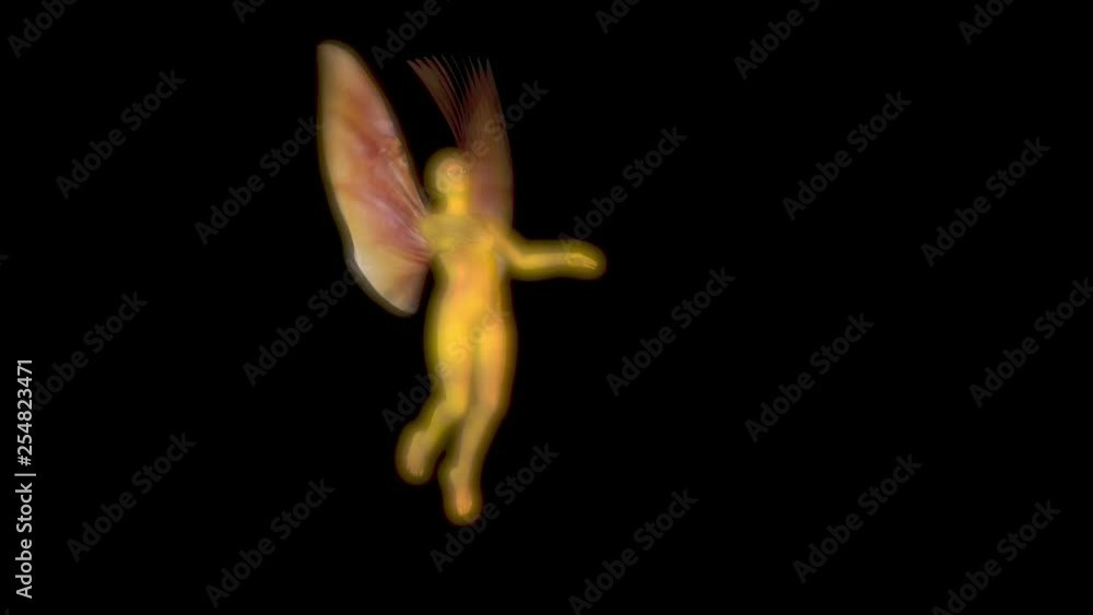 Fairy flying wings flapping . 3d animation . Isolated black and white ...