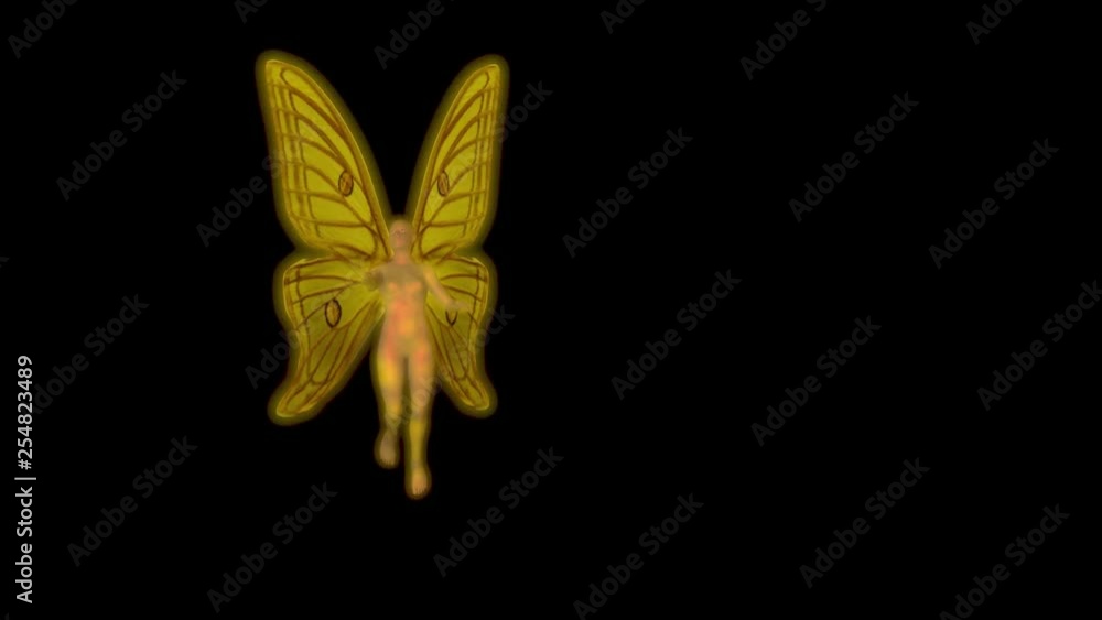 Fairy flying wings flapping . 3d animation .Isolated black and white ...