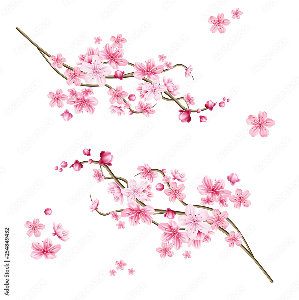 Vector realistic sakura tree with pink petal Stock Vector | Adobe Stock