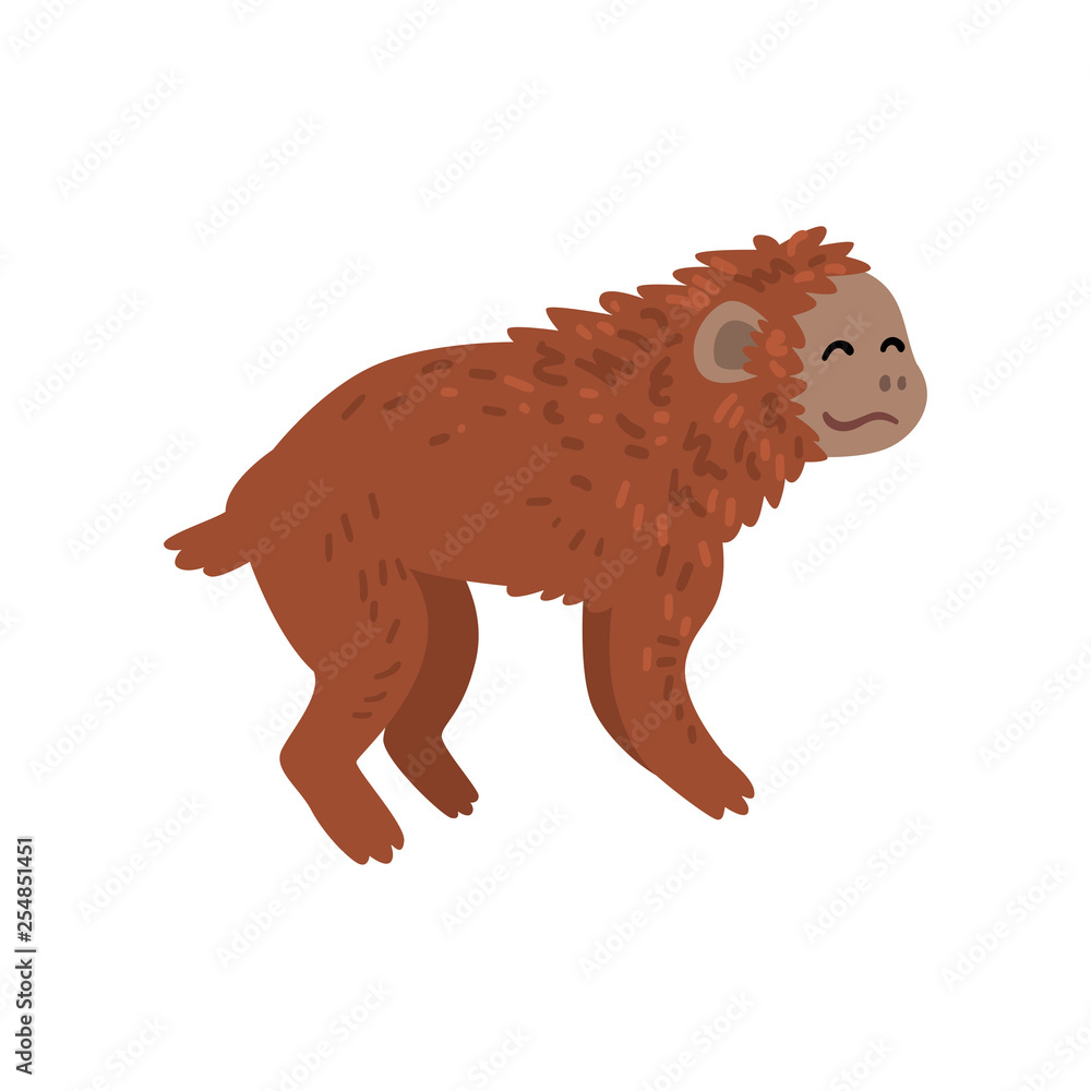 Ape, Monkey Animal Progress Stage, Evolutionary Process of Woman Vector ...