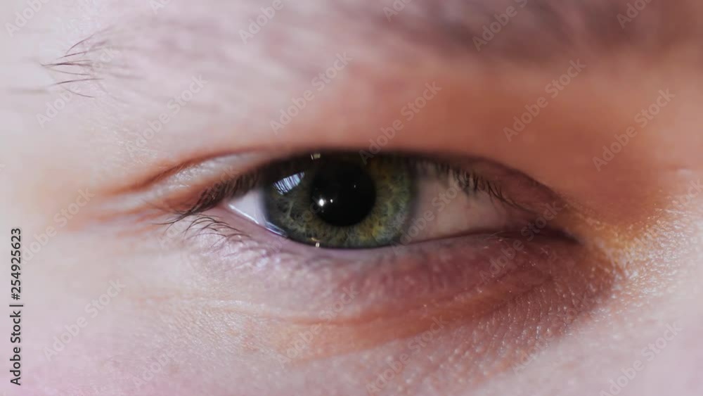 Close up macro view of blinking eye with contracting iris, pupil. Male ...