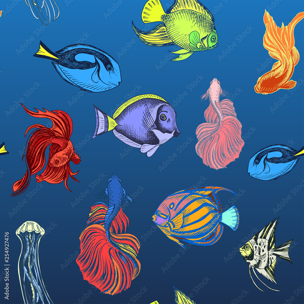 Vector hand drawn sketch Card with aquarium fish. Discus, Scalaria ...