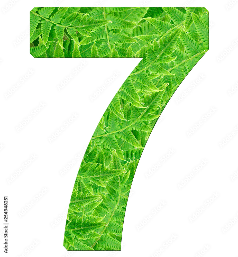 number 7 with fern texture, isolated on white background, font ...