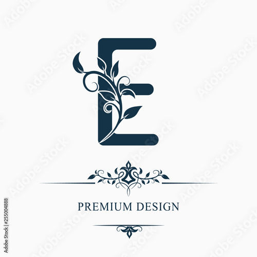 Calligraphy Capital Letter E