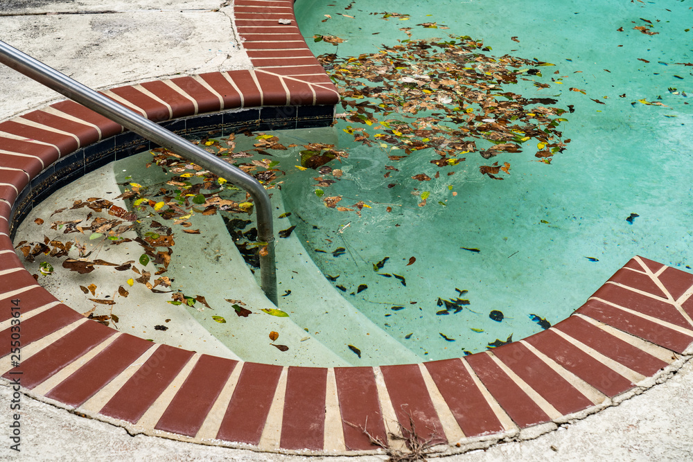 Dirty pool sits unattended covered in leaves Stock Photo | Adobe Stock